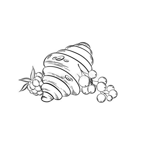 Croissant With Berries Vector Illustration Grapgic Style Hand Drawn