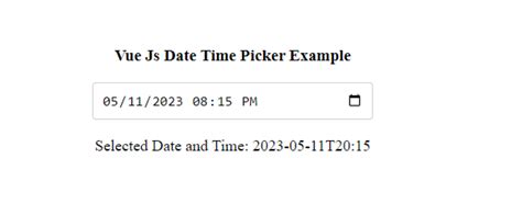 Vue Js Date Time Picker Example