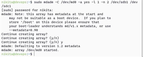 VM RAID Minikube DevOps Documentation