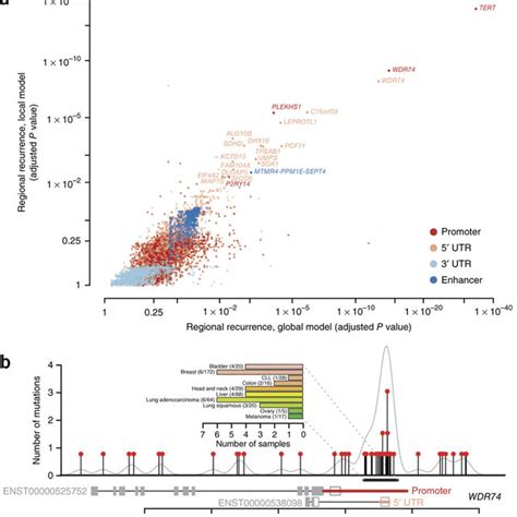 Hotspot Analysis A Significance Of Mutation Hotspots In Non Coding