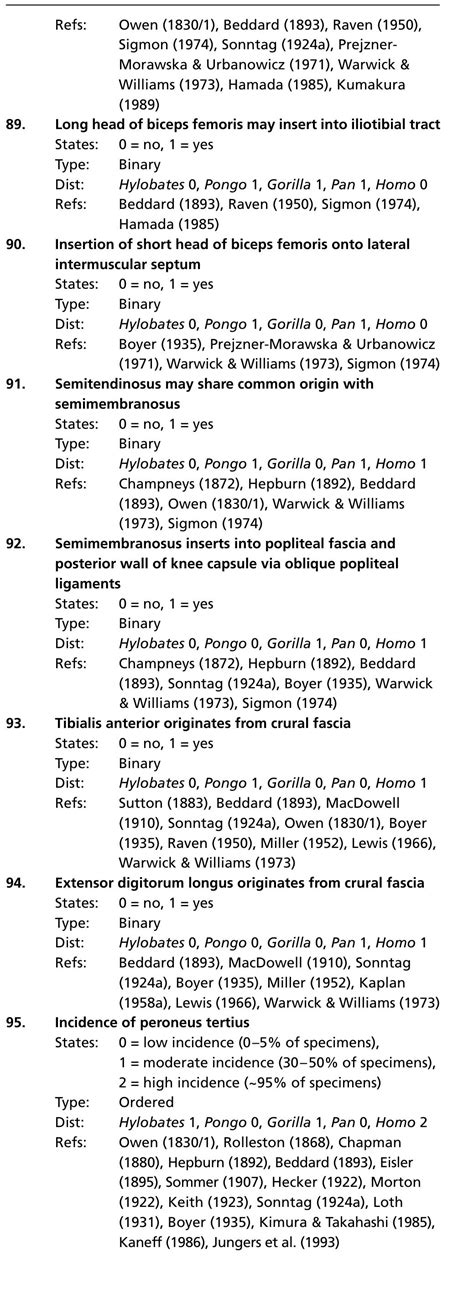 Table 64 Soft Tissue Anatomy Of The Extant Hominoids A