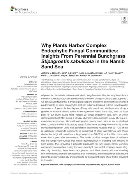 Why Plants Harbor Complex Endophytic Fungal Communities Insights From