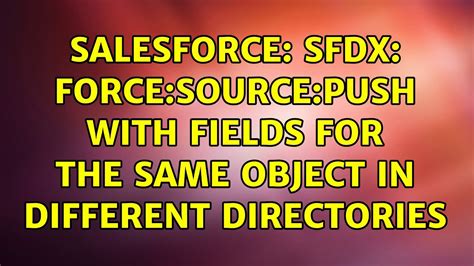Salesforce Sfdx Forcesourcepush With Fields For The Same Object In