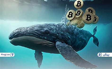 یک آدرس غیرفعال بیت کوین پس از ۱۳ سال فعال شد پینگی