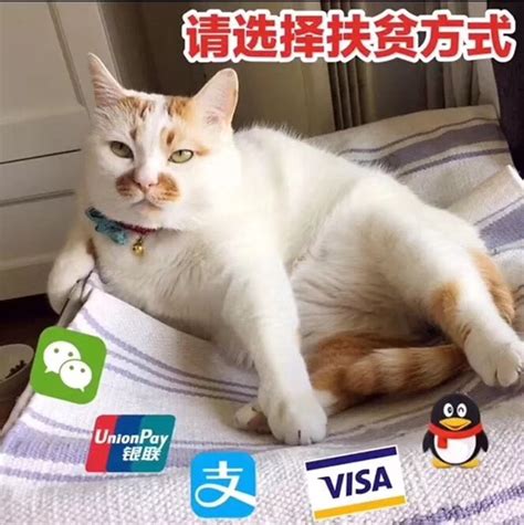 Python代码示例python实现微信小程序的多种支付方式 python第三方支付流程 CSDN博客