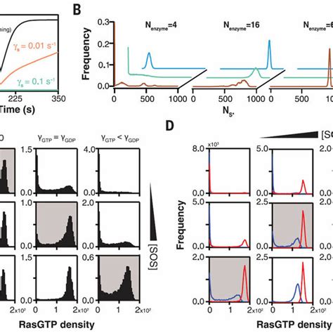 modeling effects of stochastic transitions between long lived enzymatic