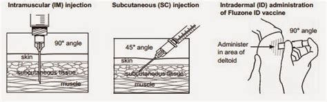 Vaccine Route Medchrome