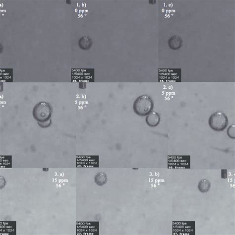 Pdf Effect Of Hydrophobicity And Frother Concentration On Bubble