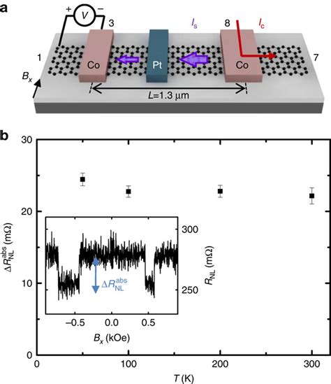 Spin Absorption By Pt In A Trilayer Graphene Lateral Spin Valve A