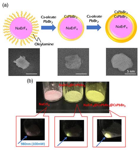 Teikyo University Of Science Succeeds In Effectively Converting Weak Near Infrared Light To