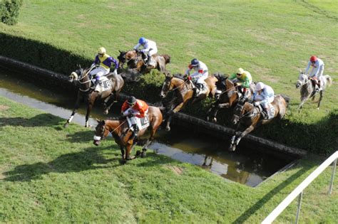 Hippodrome de Vichy-Bellerive - Passionnément hippique