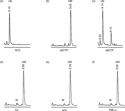 Single Nucleotide Primer Extension Assay Used To Determine The Download Scientific Diagram