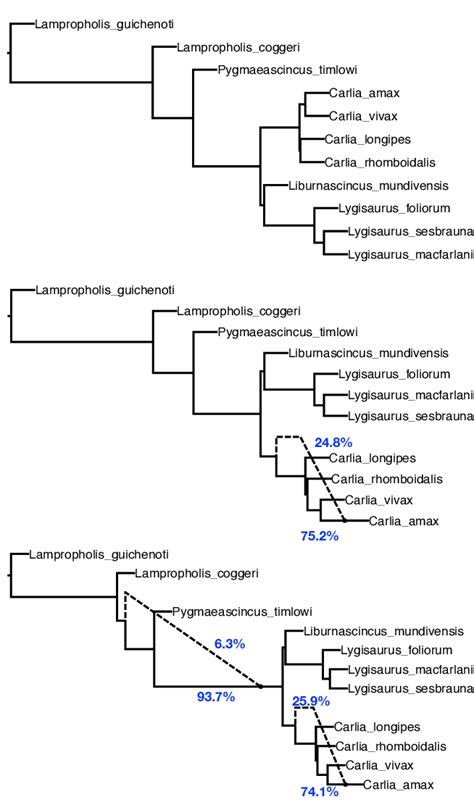 The Inferred Networks For The Empirical Data Set Using Maximum