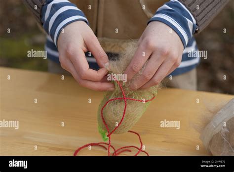 Building A Dispenser For Nesting Material Stock Photo Alamy