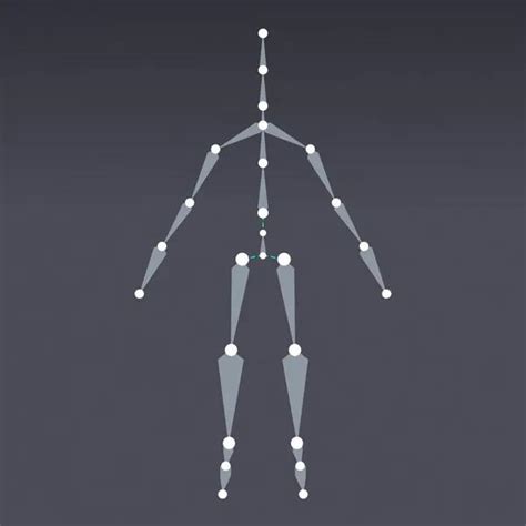 Unity Humanoid Rig Masterpiece X