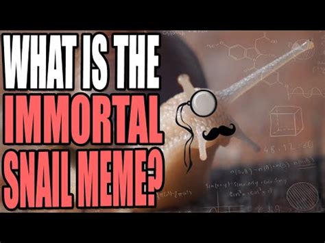 Immortal Snail Video Gallery Know Your Meme