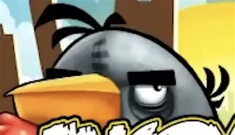 Discuss Everything About Angry Birds Wiki Fandom