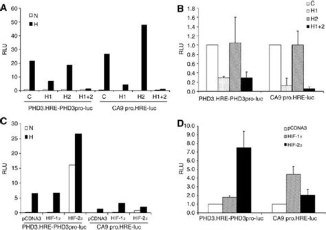 Analysis Of Cis Acting Determinants Of Hif Transcriptional Selectivity Download Scientific
