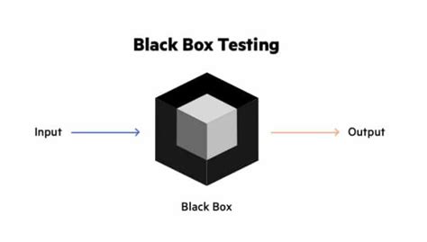 Black Box Testing Adalah Pengertian Dan Contohnya