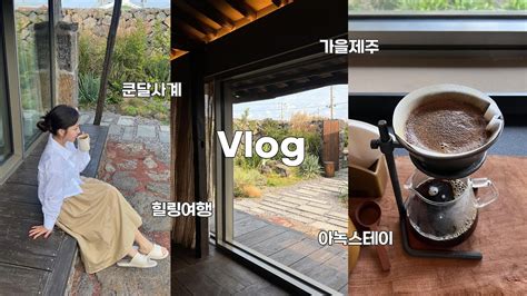 Vlog 쿤달과 함께한 가을 제주🌾 쿤달사계 독채숙소 아녹스테이 제주도 맛집 직장인and대학원생 브이로그👩🏻‍💻 Youtube