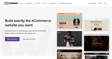 Woocommerce Seo Vs Shopify Seo Which Is Better