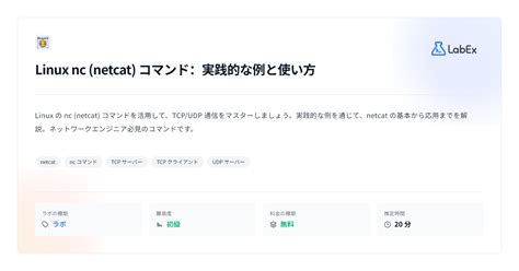 Linux Nc Netcat コマンドの使い方：tcpudp 通信と実践例 Labex