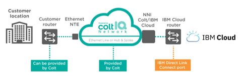 IBM Direct Link Connect Colt Technology Services