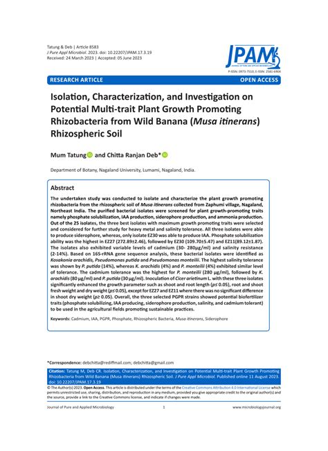 Pdf Isolation Characterization And Investigation On Potential Multi Trait Plant Growth