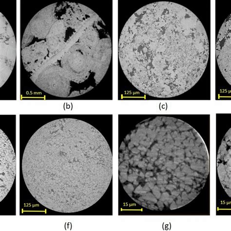 Horizontal Slices Obtained From The Six Samples Extracted From 3d