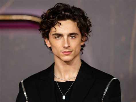 Timothée Chalamet Height - CelebsHeight.org
