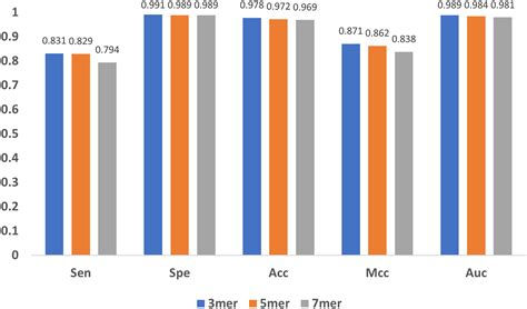 Deepmethylation A Deep Learning Based Framework With Glove And Transformer Encoder For Dna