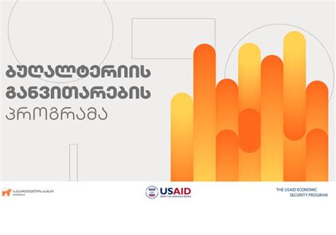 ბუღალტერიის განვითარების პროექტში საქართველოს ბანკს Usaid ის ეკონომიკური უსაფრთხოების პროგრამა