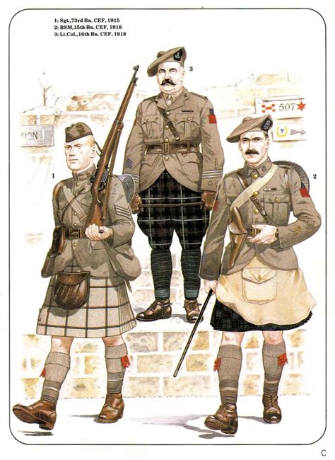 Canadian Expeditionary Force 1 Sergeant 73rd Bn Cef 1915 2