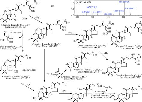The Ms 2 Spectra Characteristic Fragment Ions And Proposed