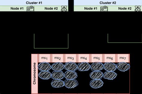An Example Of Chromosome Representation Download Scientific Diagram