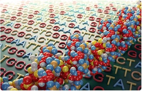 Bioinformatics In Research