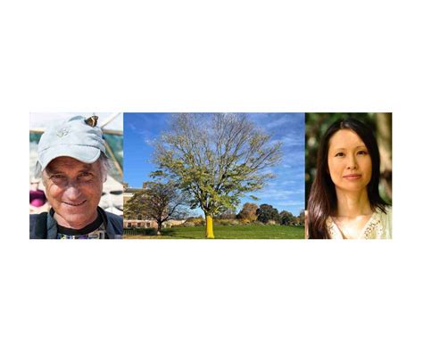 Course In Geomancy Updated Rudolf Steiner House