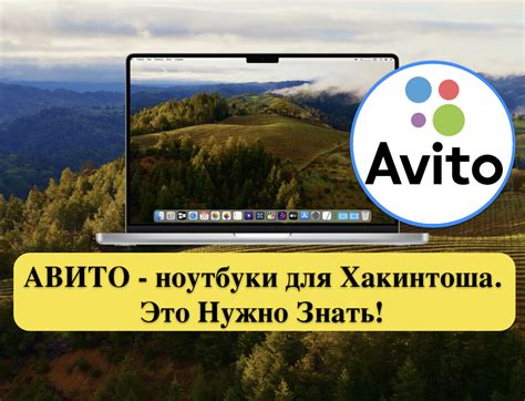 АВИТО ноутбуки для Хакинтоша Это Нужно Знать Алексей Коновалов Boosty