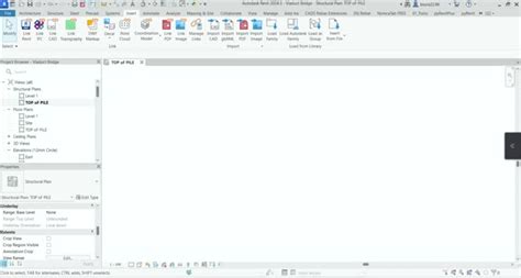 Dynamo Revit Bim Automation Computationaldesign Surendhar