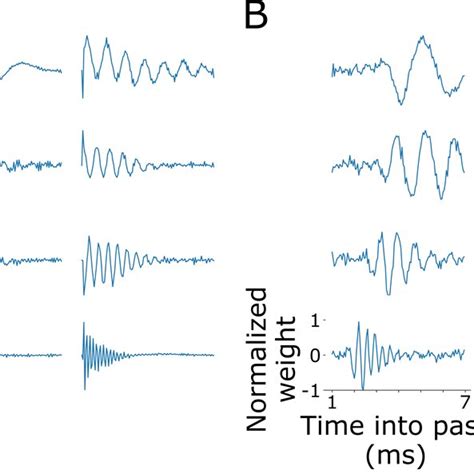 Impulse Responses Of Representative Hidden Units Of The Temporal Download Scientific Diagram