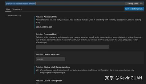 VScode开发Arduino遇到的问题 知乎