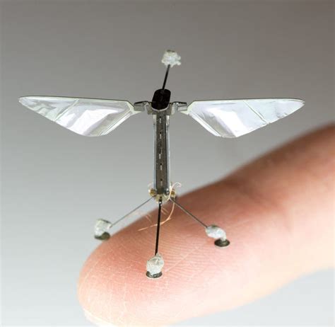 昆虫サイズのロボットRoboBeeが画期的な機構でロケットのように水面から飛び立つことに成功 GIGAZINE