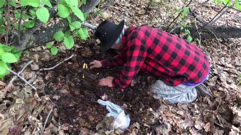 알라스카 앵커리지 윤집사 불로초 채취 하다 Youtube