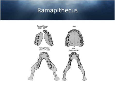 Ppt Christianity Vs Evolution Powerpoint Presentation Id 5430480