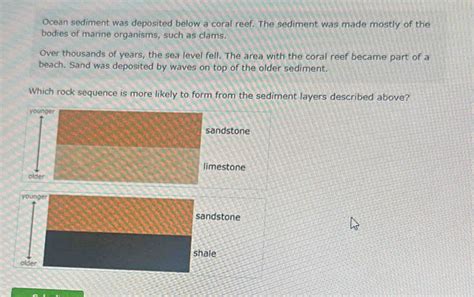 Solved Ocean Sediment Was Deposited Below A Coral Reef The Sediment Was Made Mostly Of The