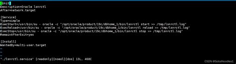 centos7 oracle19c 开机自启设置！ oracle19c开机启动 csdn博客