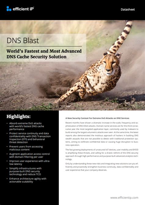 Datasheets Overview Efficientip Datasheets Overview Efficientip