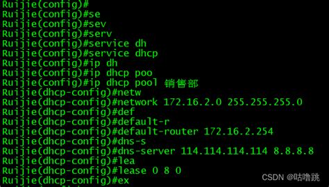 数据通信——dhcp