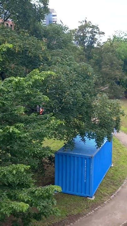 Франкфурт на Майні Youtube