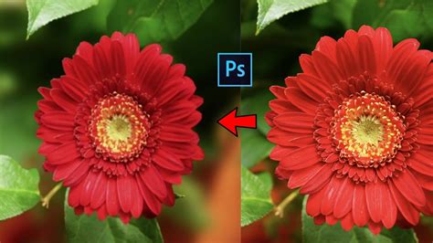 Gaussian Blur Effect In Photoshop Photoshop Tutorial Youtube